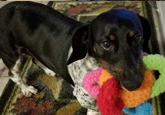 Motustop – welcome motustop